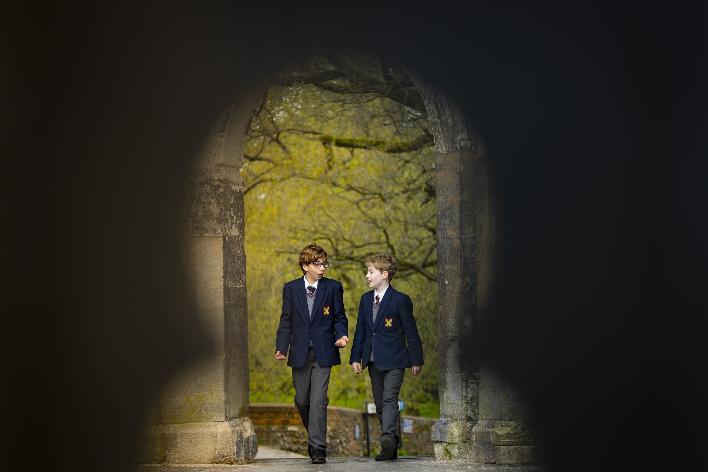 Curriculum Overview - St Albans School