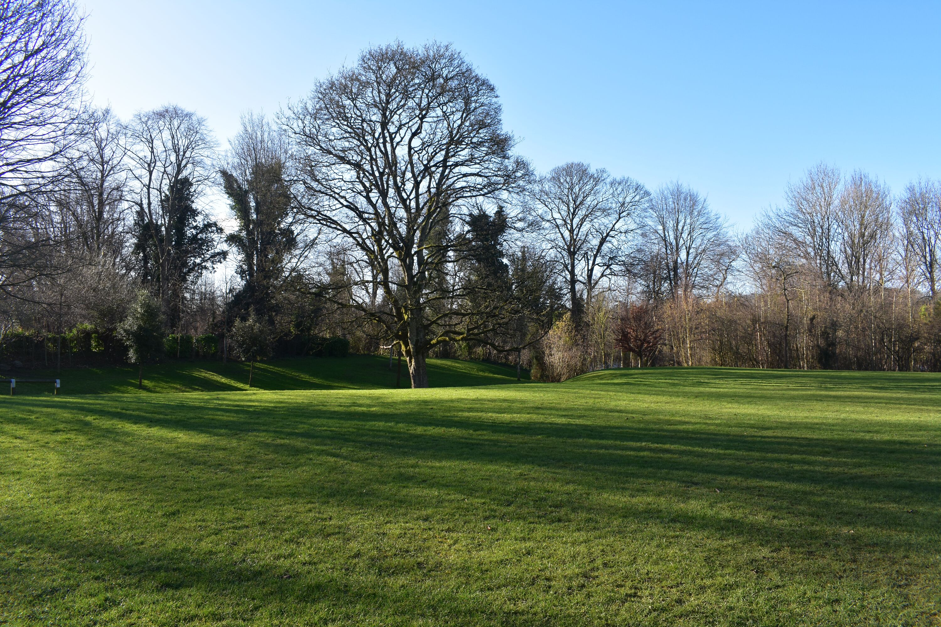 SASA (St Albans School Association) - St Albans School